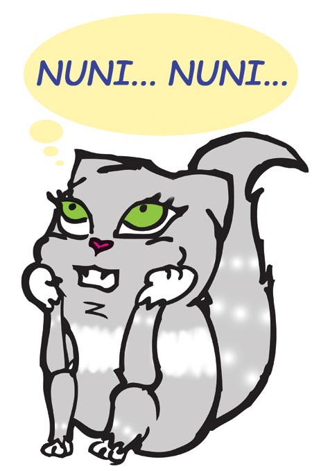 Northern Dispatch | AFP’s bayanihan deceptive — IP group