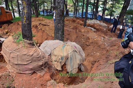 Northern Dispatch | Lawyer says trees transferred to graveyard
