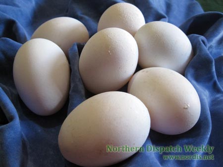 Northern Dispatch | Makan a la Pinoy: Panagluto iti itlog