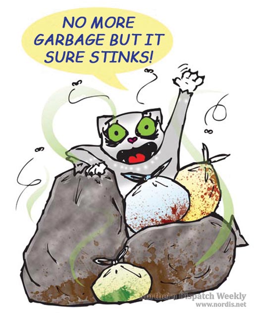 Northern Dispatch | Garbage dump still stinks — PSHS