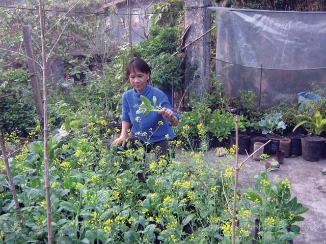 Northern Dispatch | Reviving the forgotten indigenous knowledge: Ayyuka ...