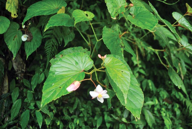 Northern Dispatch | Diaries From The Field: Living in different timelines