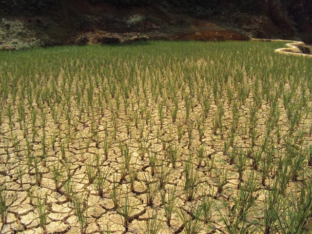 Northern Dispatch | Diaries From The Field: Climate change and life in ...