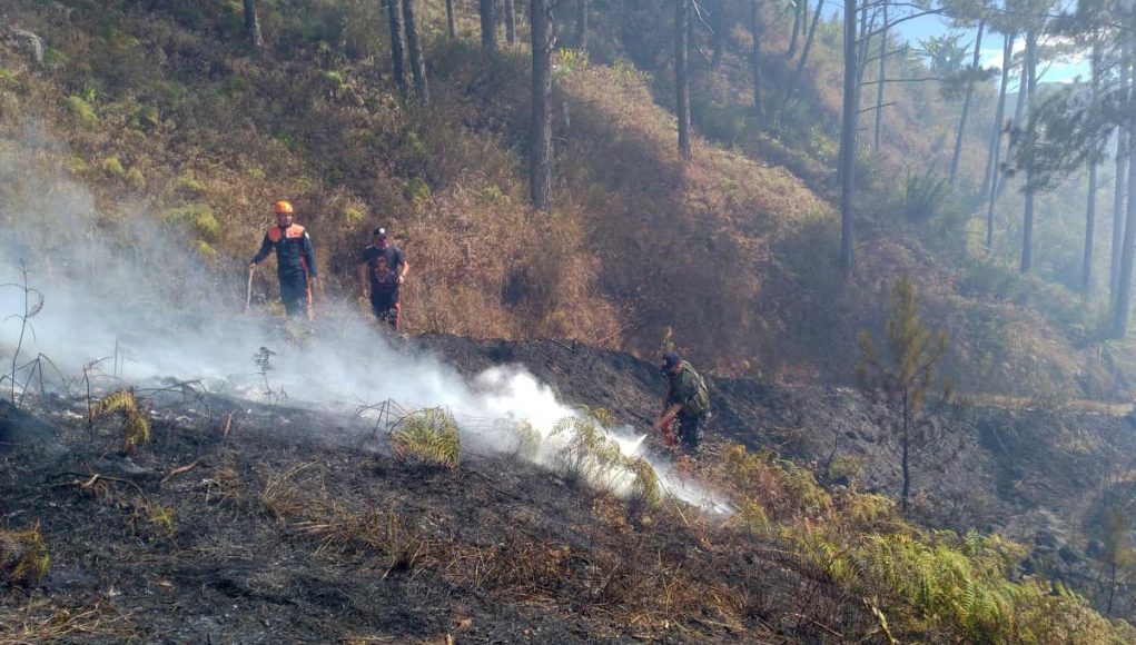 Northern Dispatch | Pulag closed as forest fires rage in Benguet