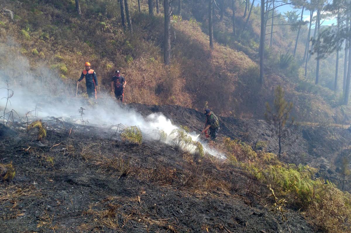 Northern Dispatch | Pulag closed as forest fires rage in Benguet